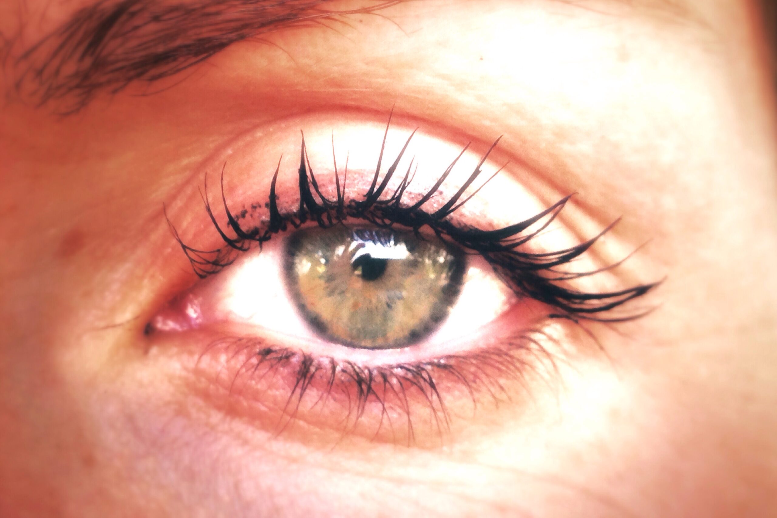 15 Fascinating Facts About the Eyes - Belmont Eye Center