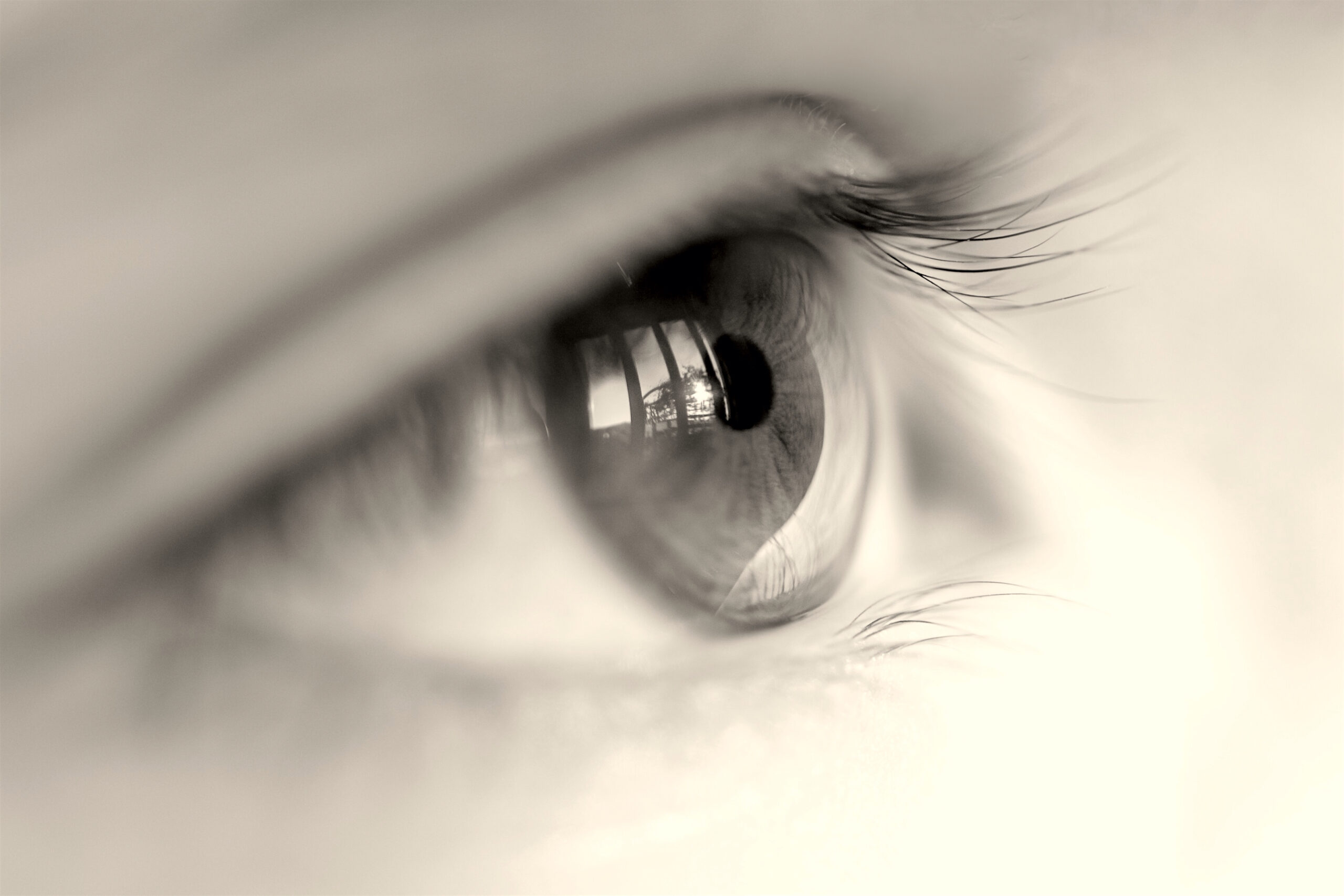 Correcting night blindness in dogs - Belmont Eye Center