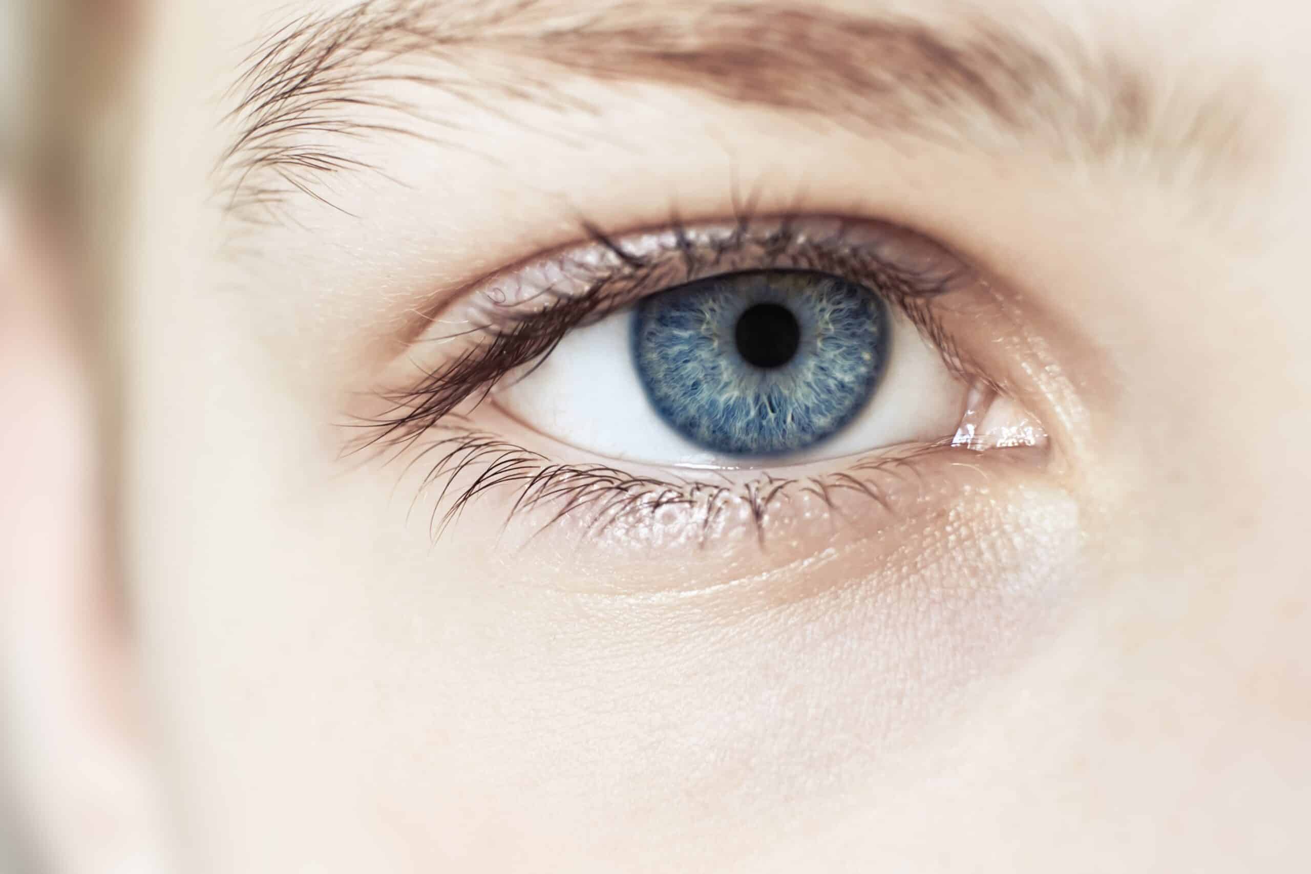 2030 In Sight: Shaping the Future of Global Eye Health | Belmont Eye Center