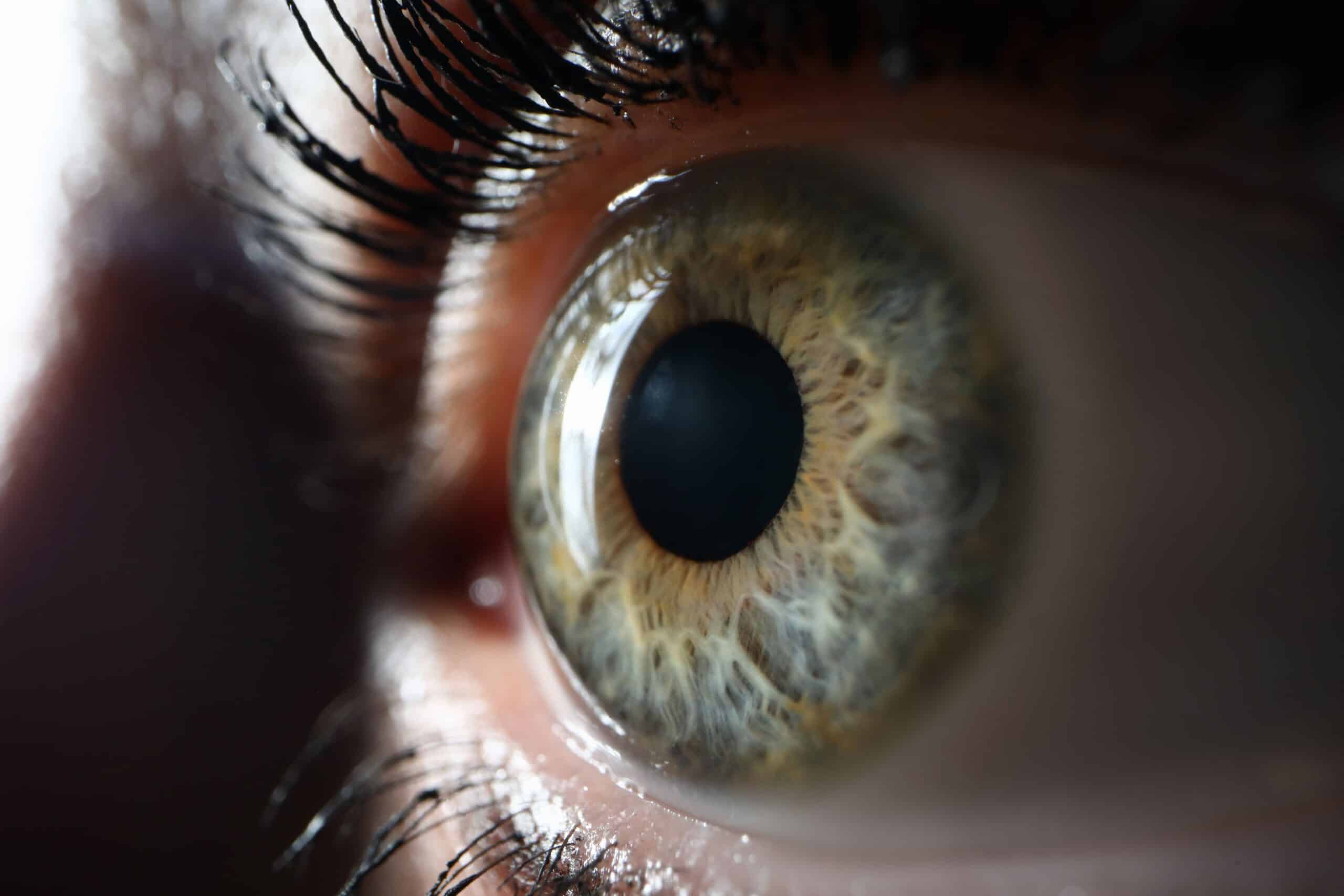 Cholesterol and diabetes drugs may lessen risk of degenerative eye ...
