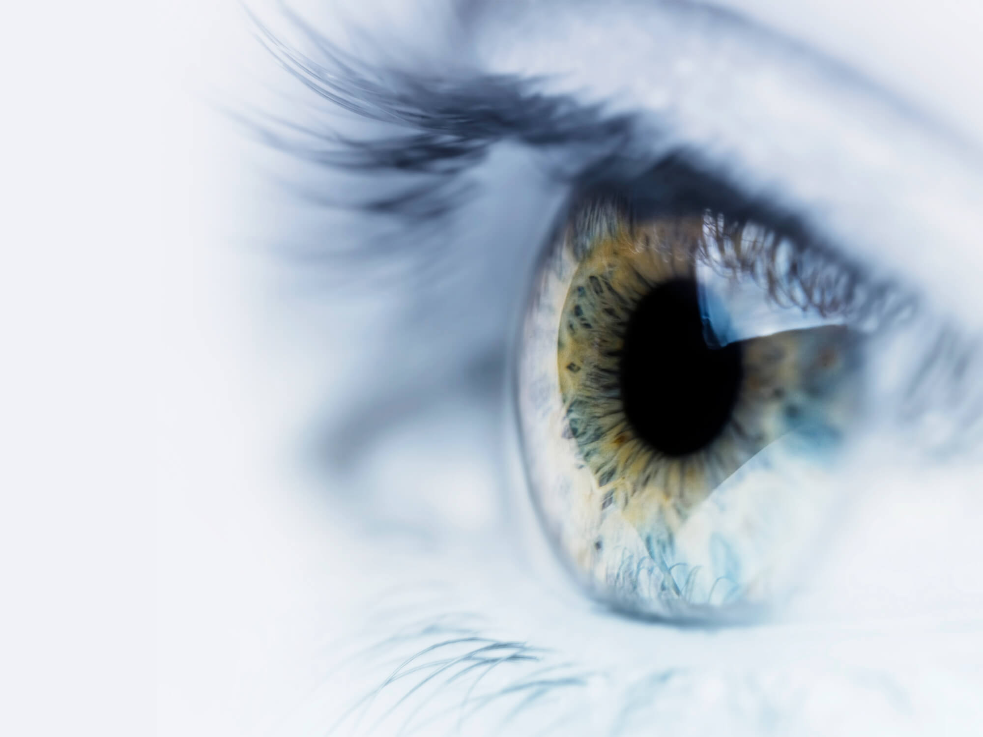 Why NO-CUT LASIK/PRK IS THE SUPERIOR OPTION FOR VISION CORRECTION ...